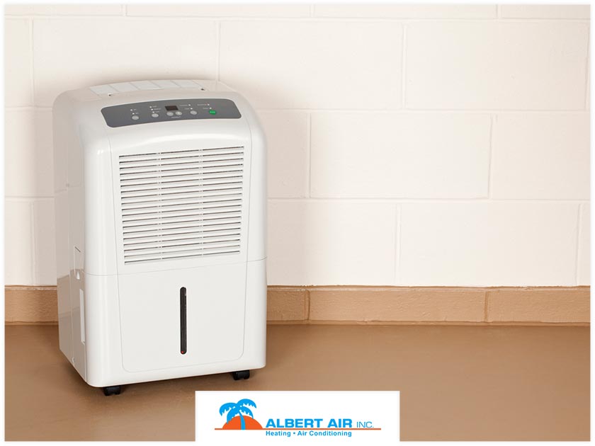 4 Telltale Signs You Need a Dehumidifier at Home 4 Telltale Signs You Need a Dehumidifier at Home